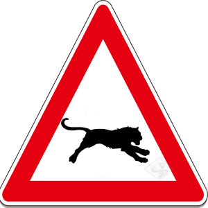 Traffic Signs in Nepal - Complete Guide | Likhit Nepal